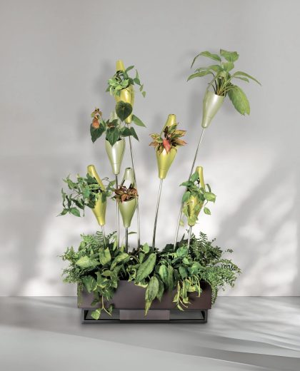 Harita Collection – Living Products